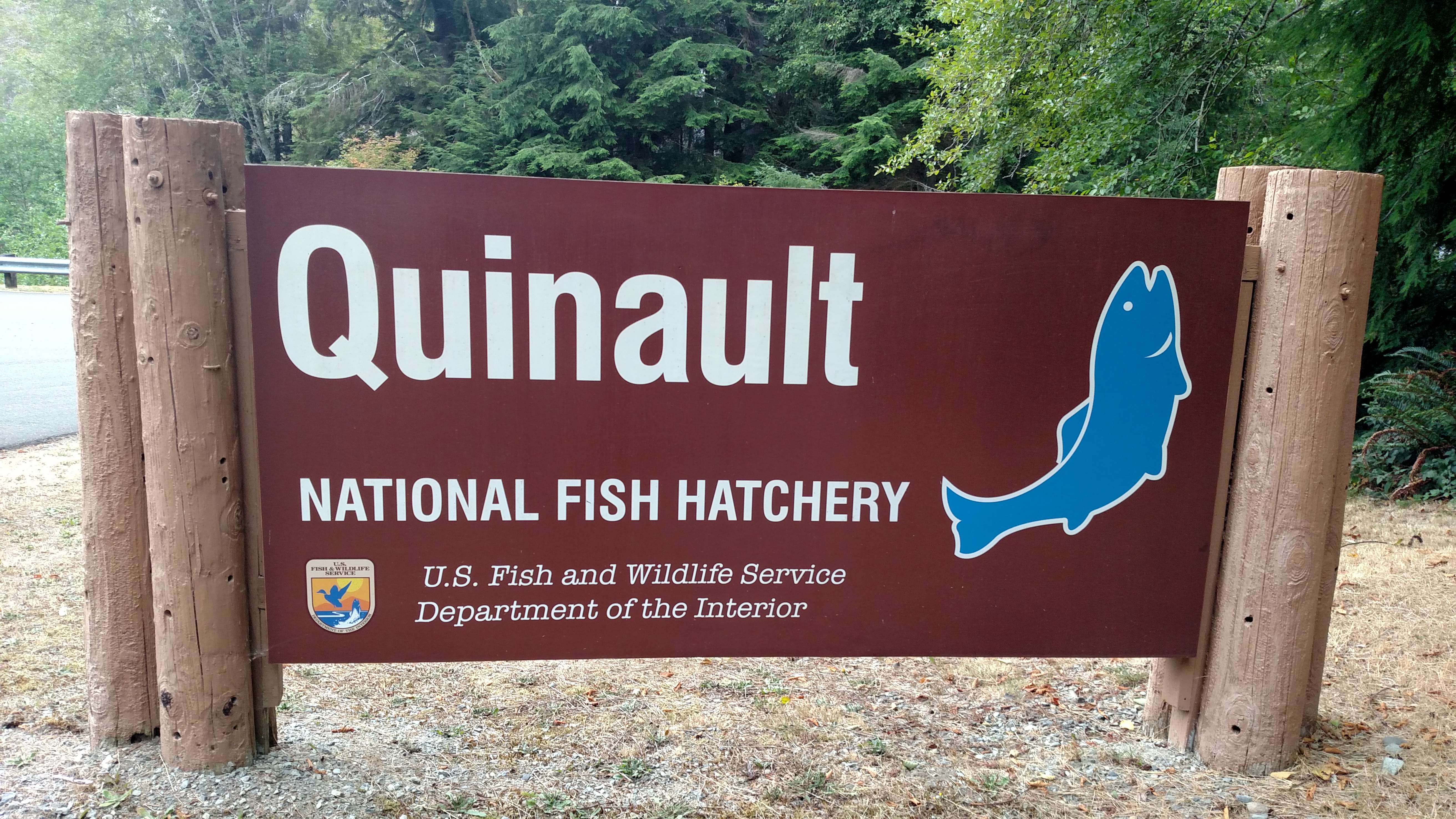 Fish Hatcheries in Washington State – johnboystravelblog