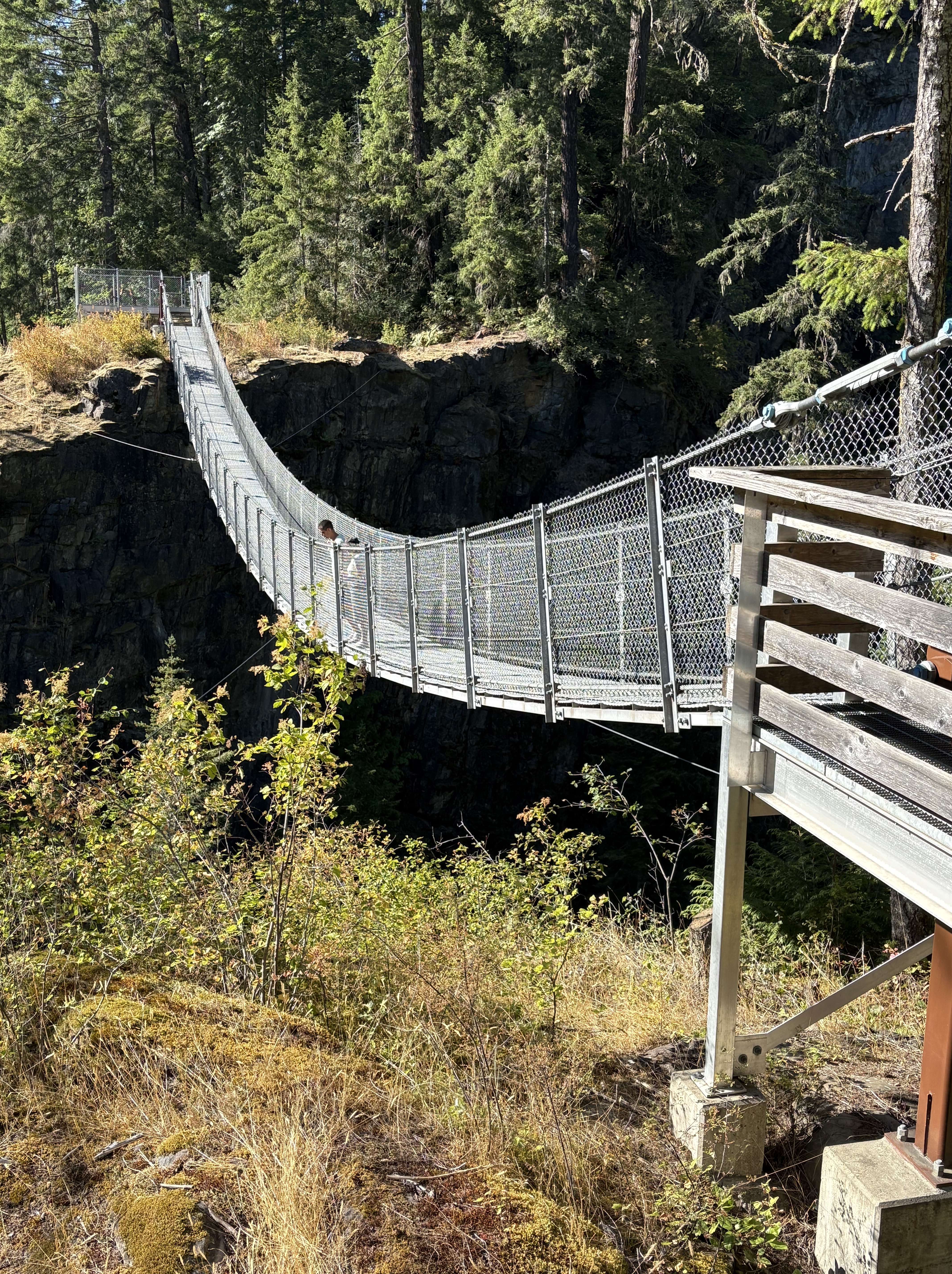 Elk Falls Suspension Bridge – johnboystravelblog