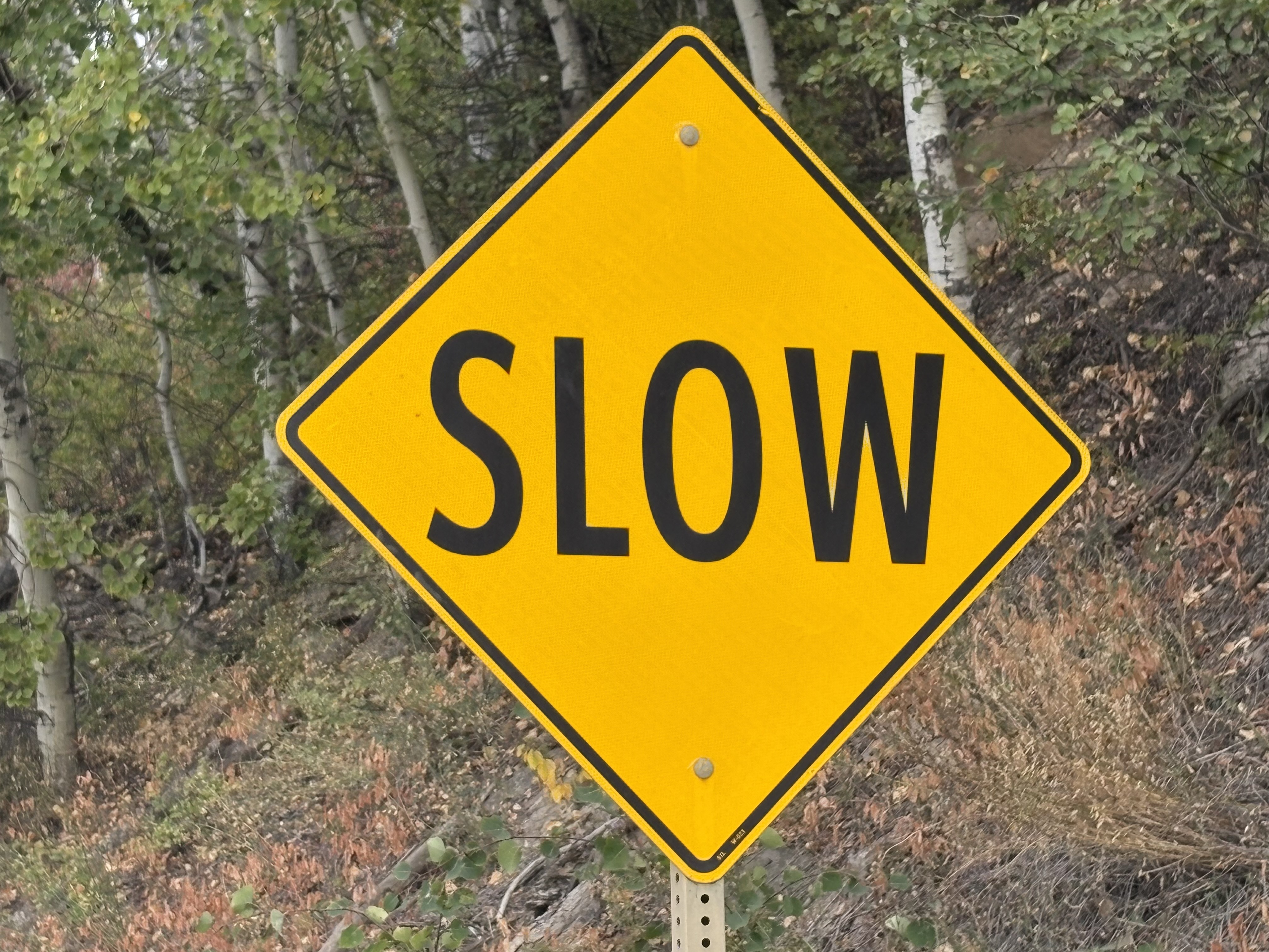 SLOW means SLOW – johnboystravelblog